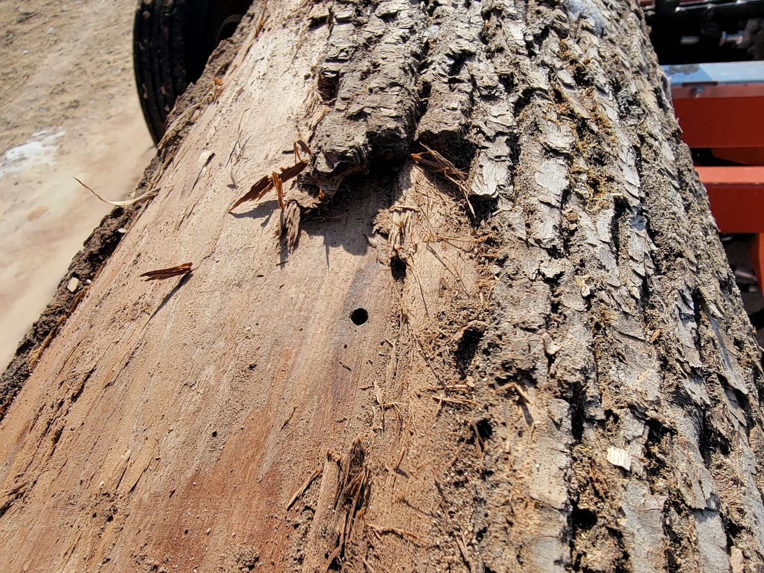 Our Sustainability | Adam's Specialty Products